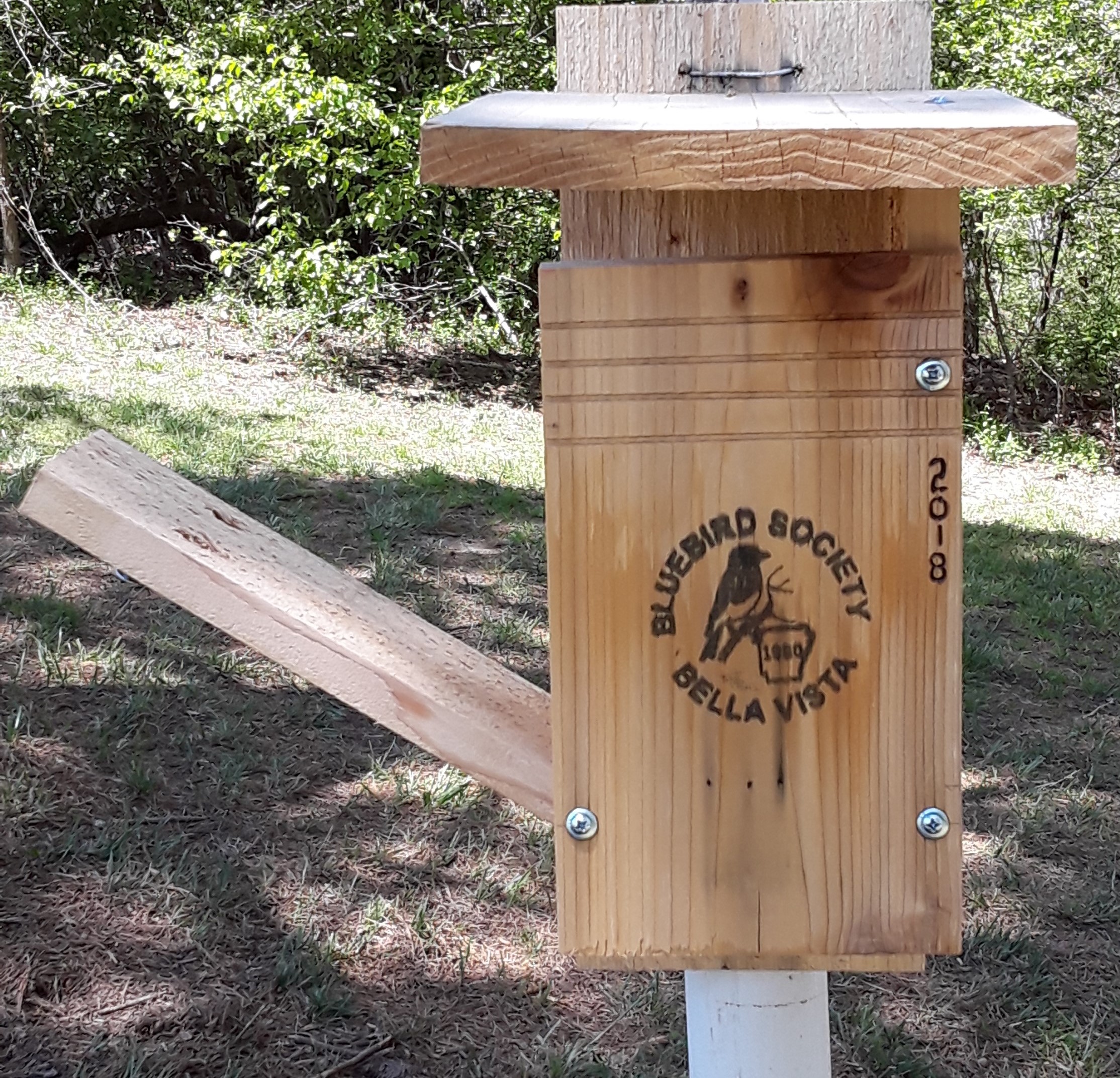 Welcome to Bella Vista Bluebird Society - Bella Vista Bluebird Society